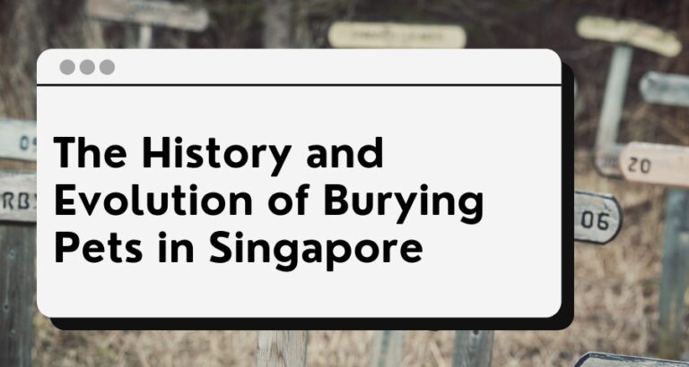 The History and Evolution of Burying Pets in Singapore - The Singaporean