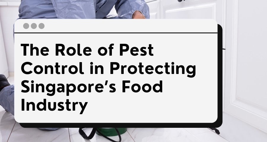 The Role of Pest Control in Protecting Singapore’s Food Industry - The ...