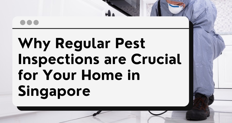 Why Regular Pest Inspections are Crucial for Your Home in Singapore ...