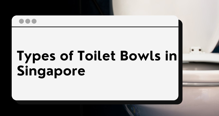 Types of Toilet Bowls in Singapore - The Singaporean